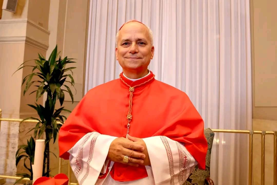 Robert Francis Prevost : Du cœur de Chicago au trône de Saint Pierre ...